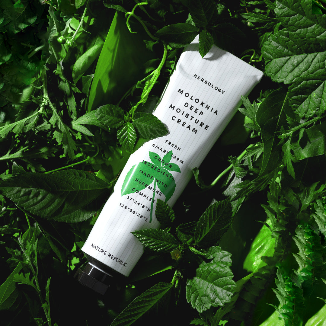 HERBOLOGY Molokhia Deep Moisture Cream – NATURE REPUBLIC